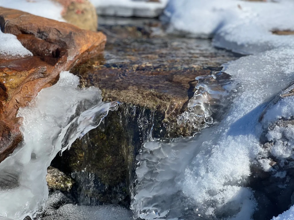 New Pond Owner | Oklahoma Ponds | Oklahoma City, OK